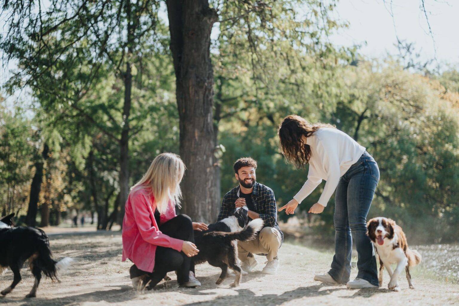 How To Socialize A Dog | Canine Country Club & Feline Inn