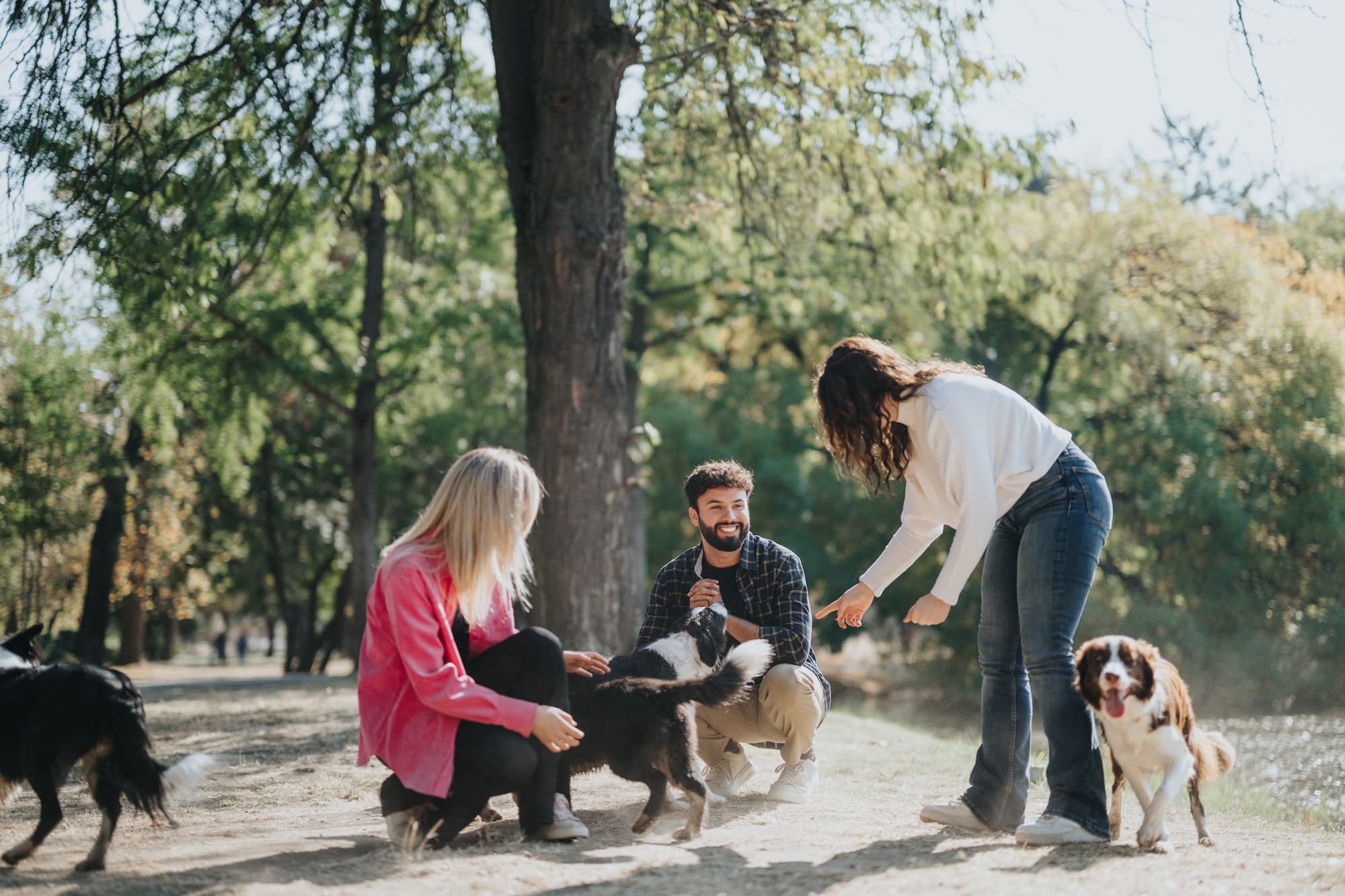 How To Socialize A Dog | Canine Country Club & Feline Inn